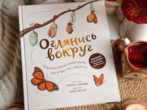 Оглянись вокруг (Рэйчел Уильямс, Фрея Хартас) — купить в МИФе